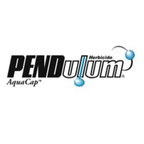 Pendulum® AquaCap™