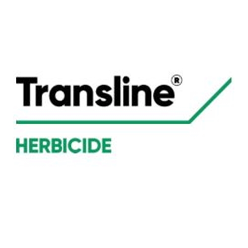 Transline®